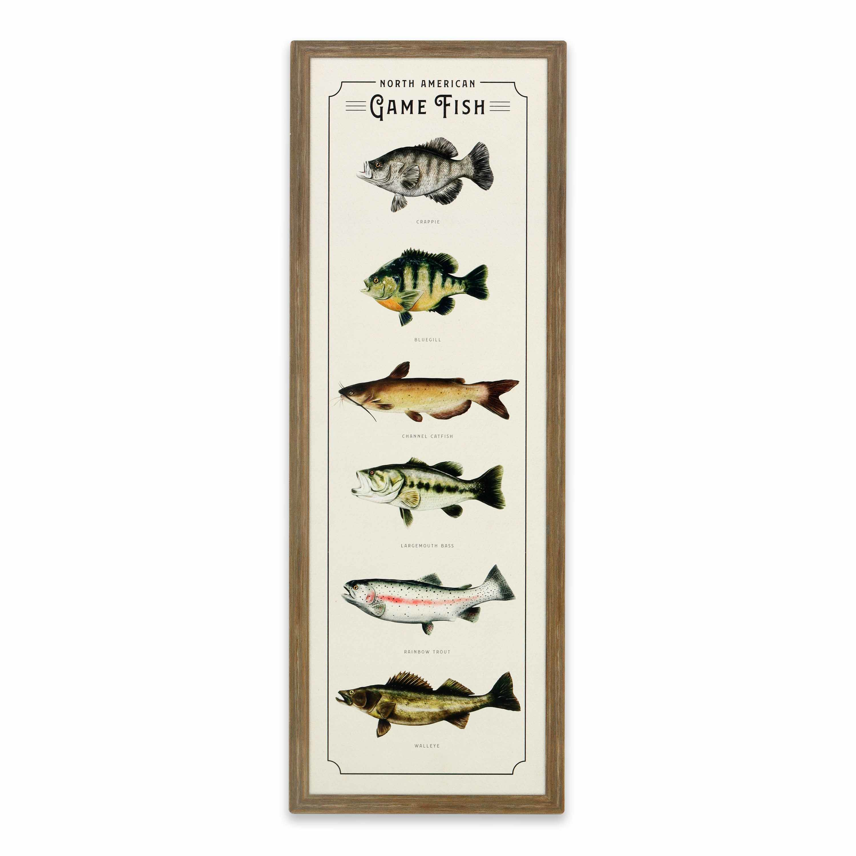 Open Road Brands North American Game Fish Wall Art | Mack's Prairie Wings
